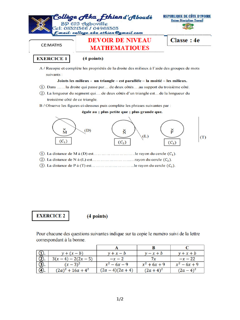 DEVOIR DE NIVEAU 4e 2024-2025 AKA E | PDF