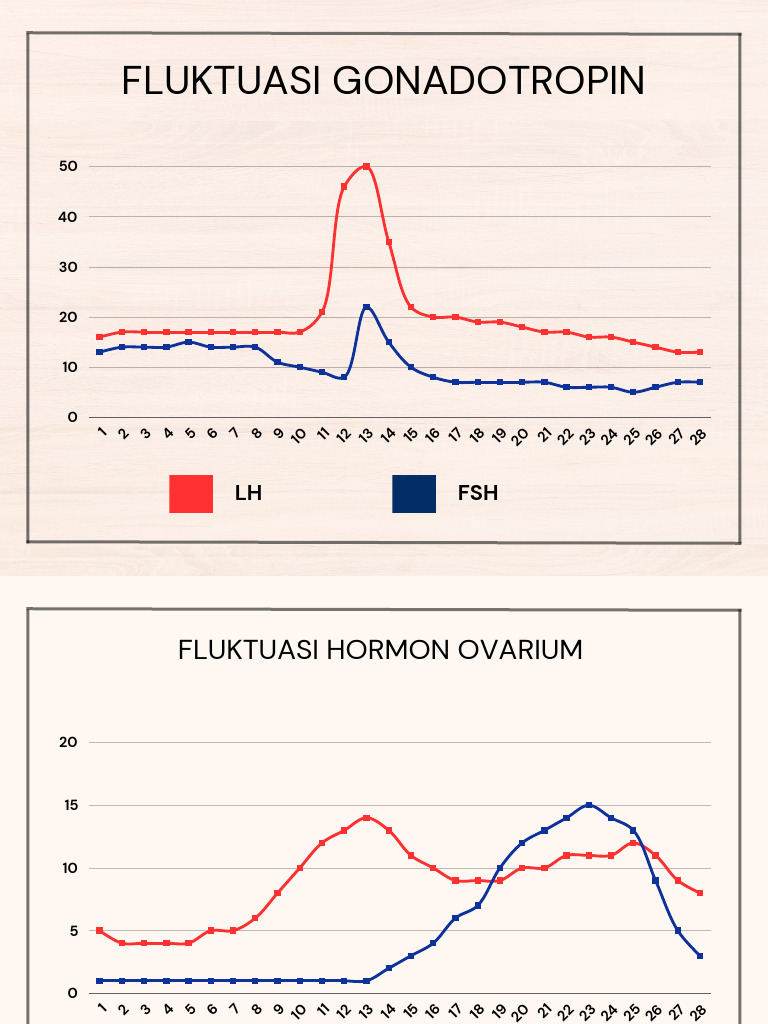 Soft Brown Modern Line Chart Diagram Graph - 20250125 - 171821 - 0000 | PDF