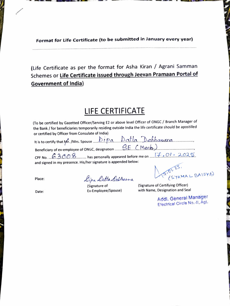 Life Certificate | PDF