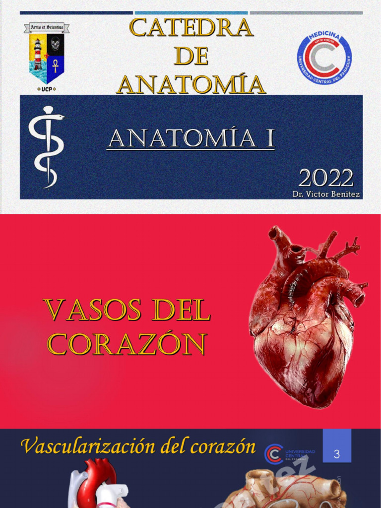 16 Corazon 4 | PDF