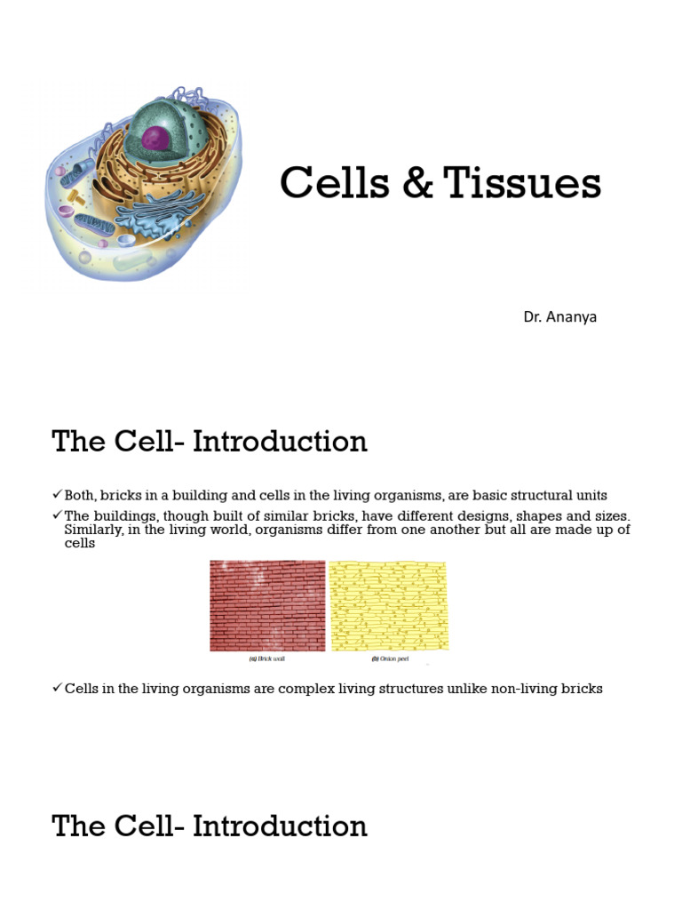 Lesson 1 Cell and Tissue | PDF | Cell (Biology) | Cell Nucleus