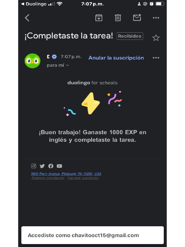 Duolingo Second Partial | PDF