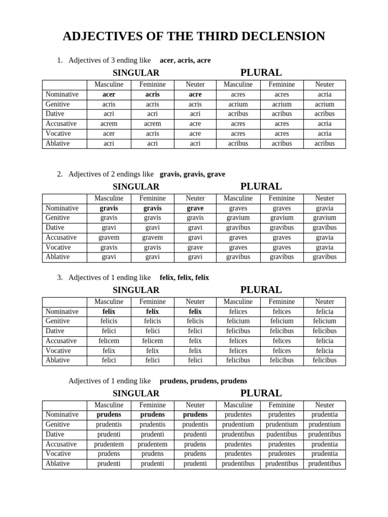 Third Declension Adjectives | PDF | Grammatical Gender | Language Mechanics