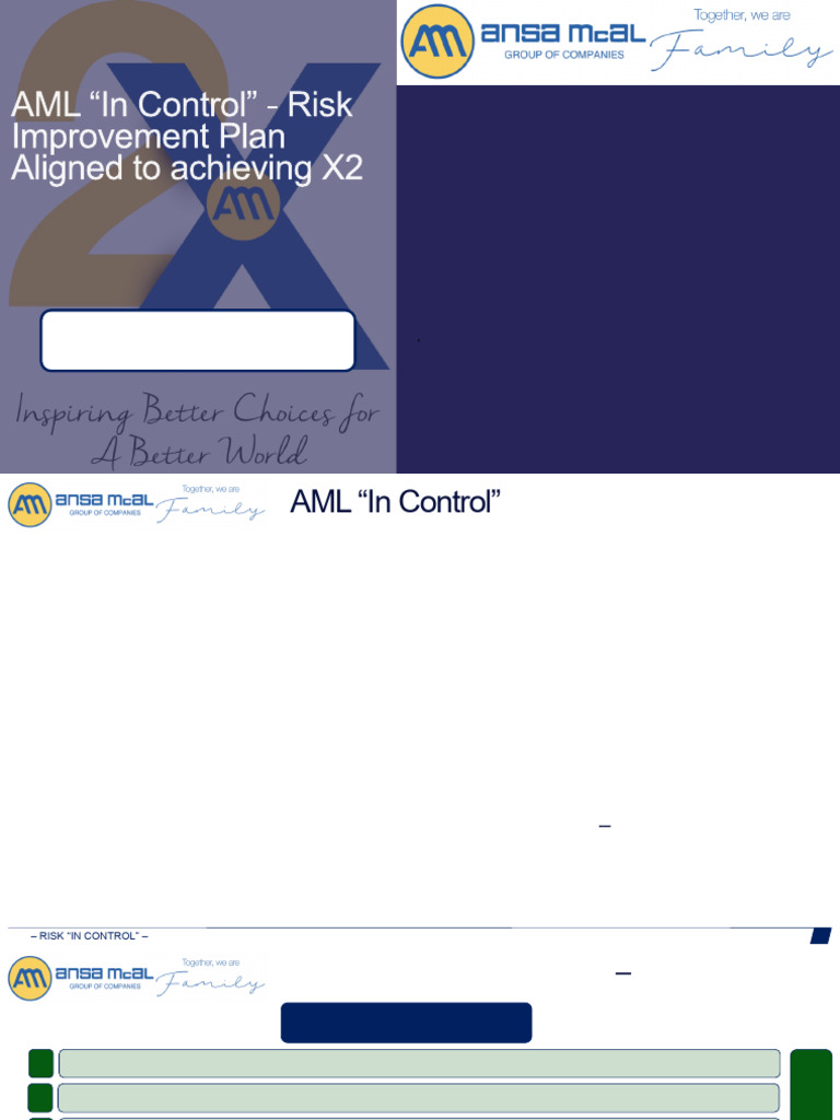 AML - Risk Capability Training For Subsidiary Teams - Risk Improvement ...