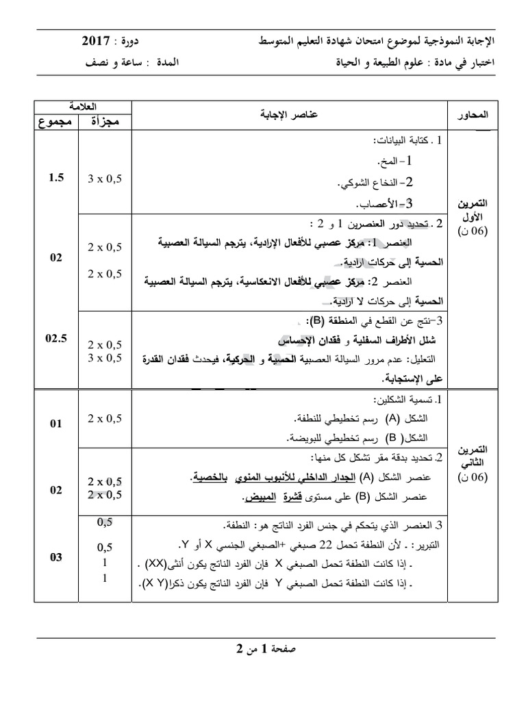 Bem2017 Sciences Correction | PDF