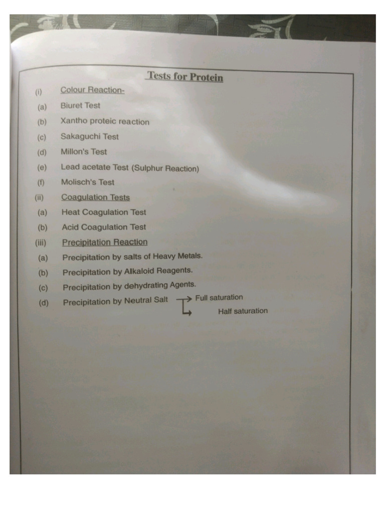 Protein Test | PDF