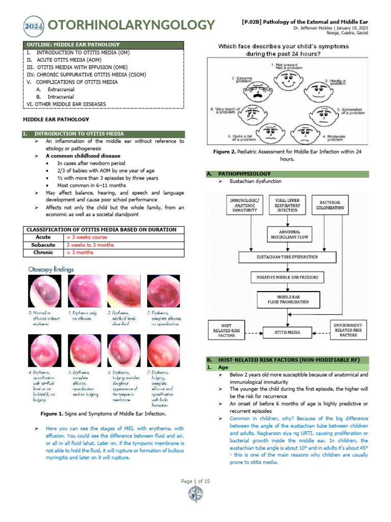 (ENT) P.02B Pathology of The External and Middle Ear | PDF | Ear ...