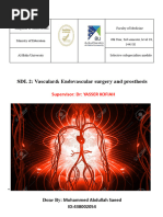 GORE VIABAHN VBX Stent IFU Overview | PDF | Interventional Radiology ...