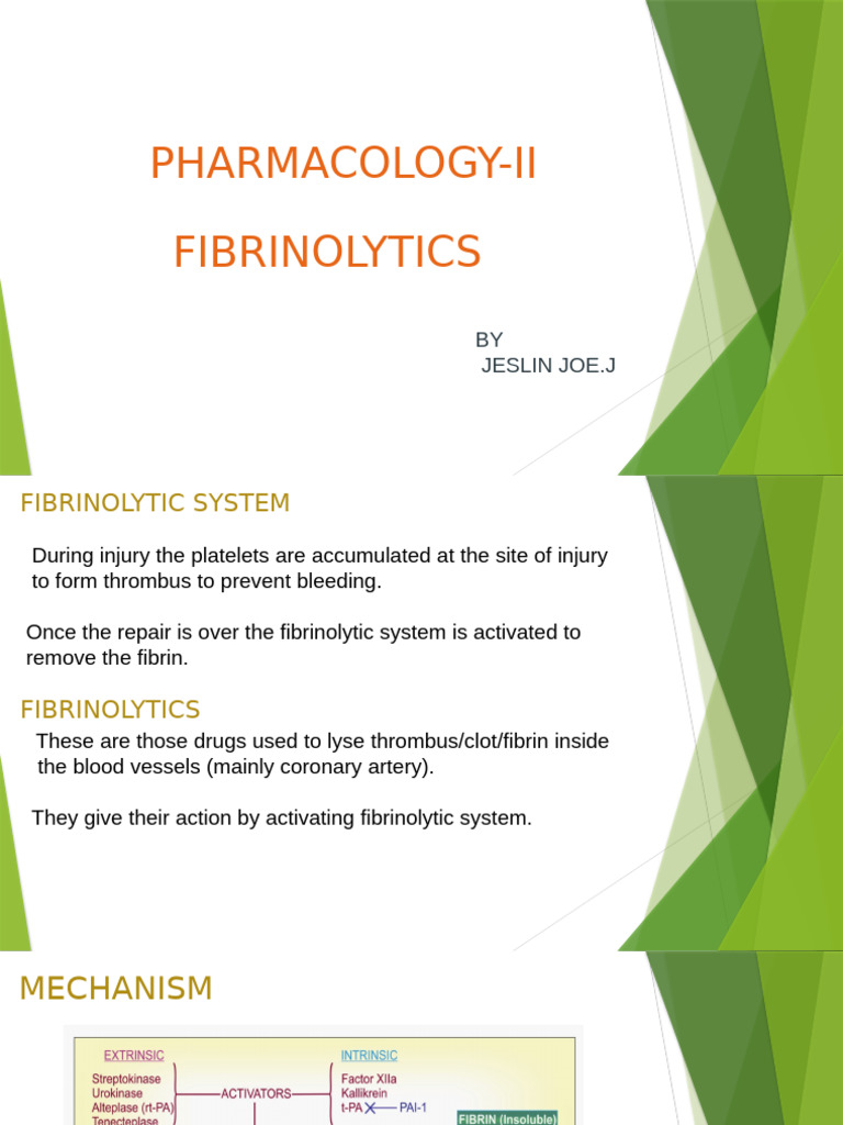 Jeslin Joe Pharmacology II | PDF