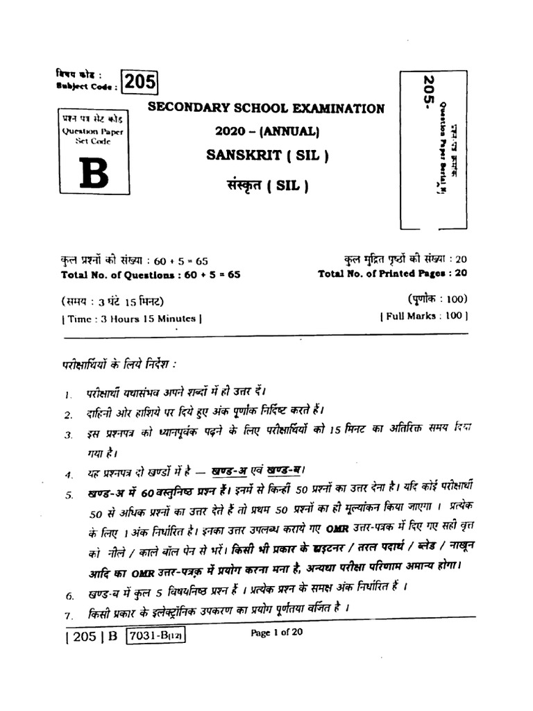 Class 10 Sanskrit Previous Year Question Paper 2020 Set B 205 | PDF