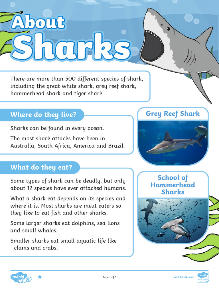 All About Sharks Reading Comprehension | PDF | Sharks | English As A ...