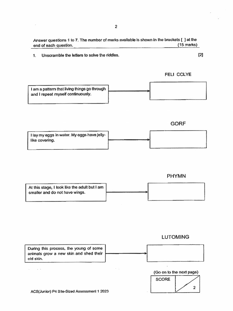 P4_Science_2023 | PDF