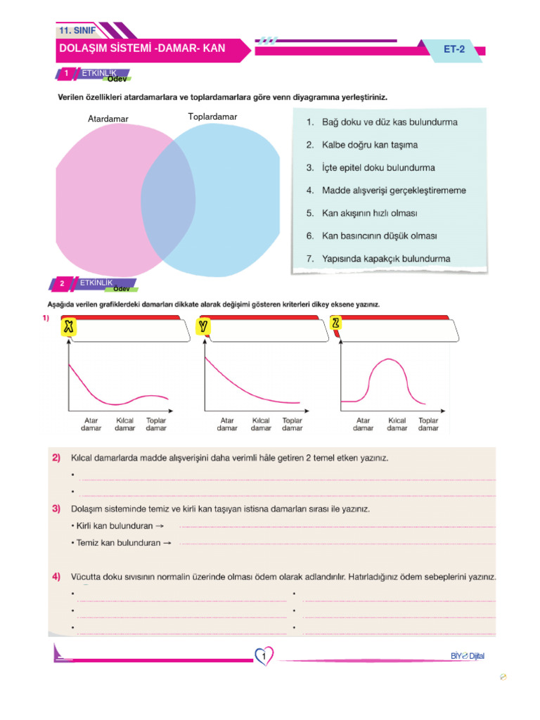 Dolaşim Si̇stemi̇ Et-2 Damar | PDF