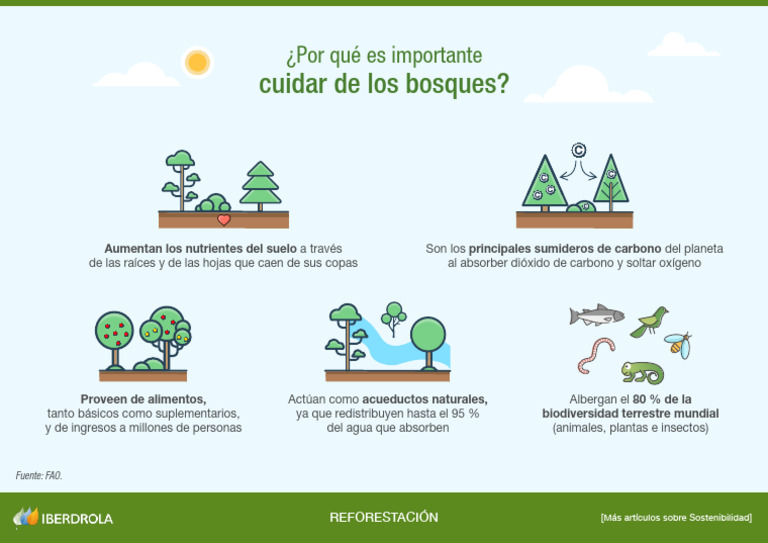 Infografia Cuidar Bosques | PDF