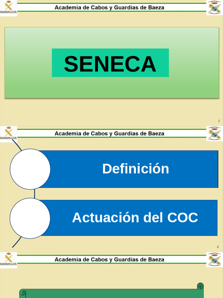Seneca | PDF | Sistema de información geográfica | Informática