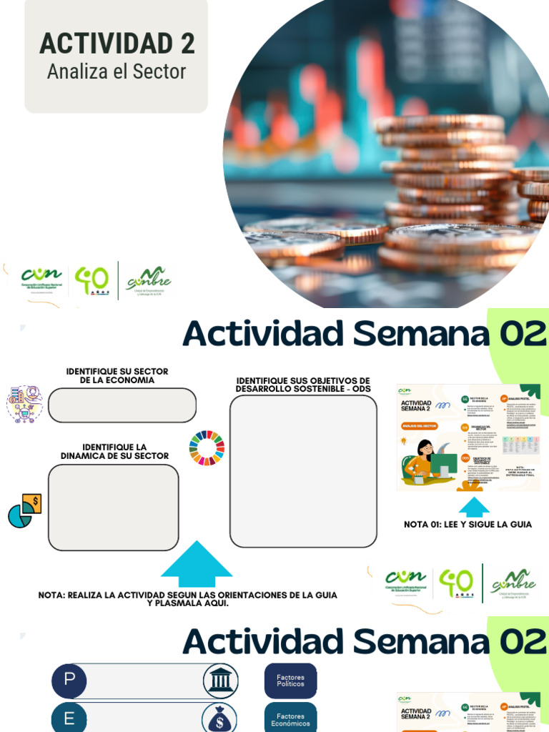 Actividad Semana 2 | PDF