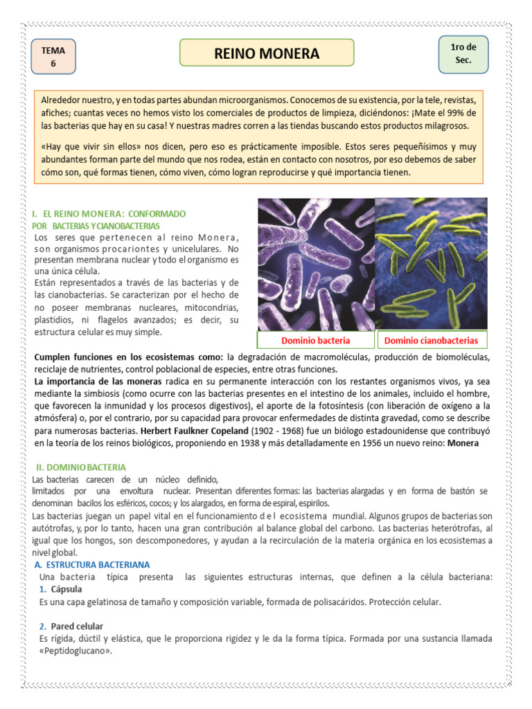 Reino Monera y Protista | PDF | Las bacterias | Cianobacterias