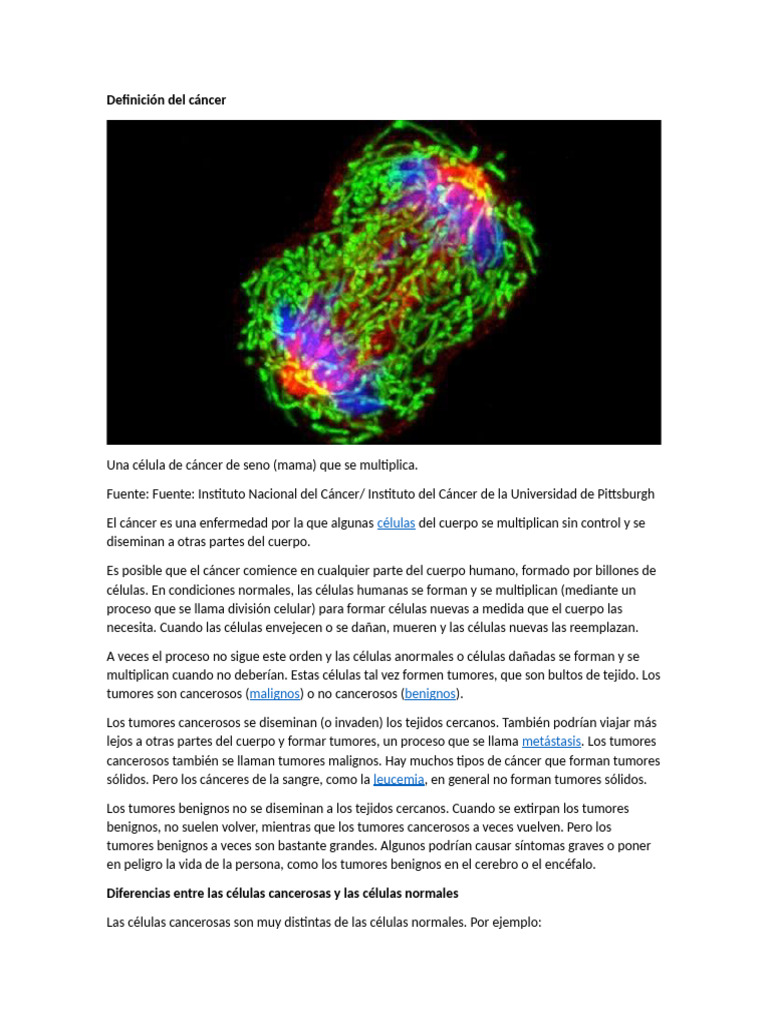 Definición y características del cáncer | PDF | Cáncer | Neoplasias
