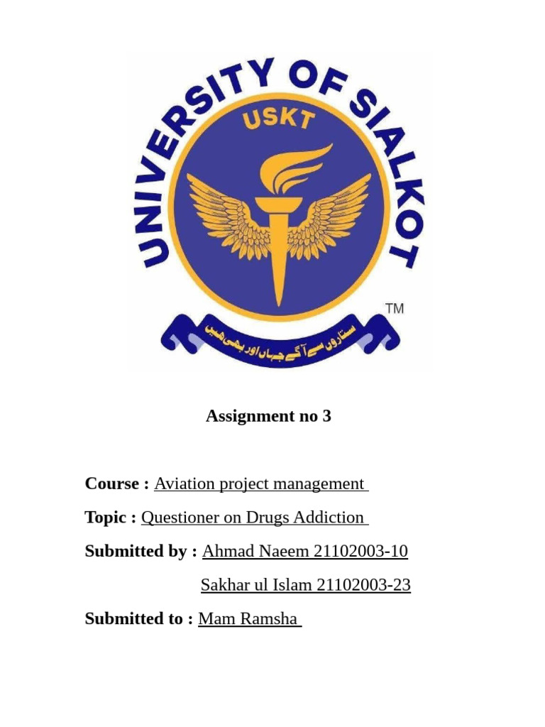 Drug Use Assessment Questionnaire | PDF | Drugs | Recreational Drug Use