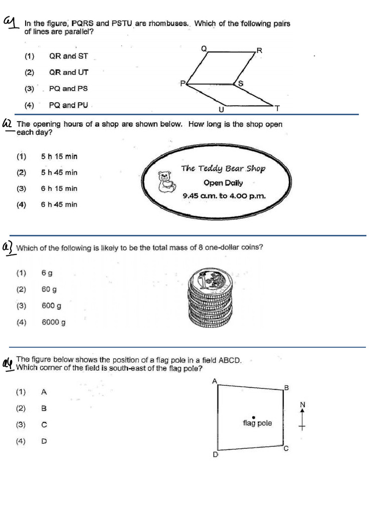 Sg PSLE Questions (P5 Topics) | PDF