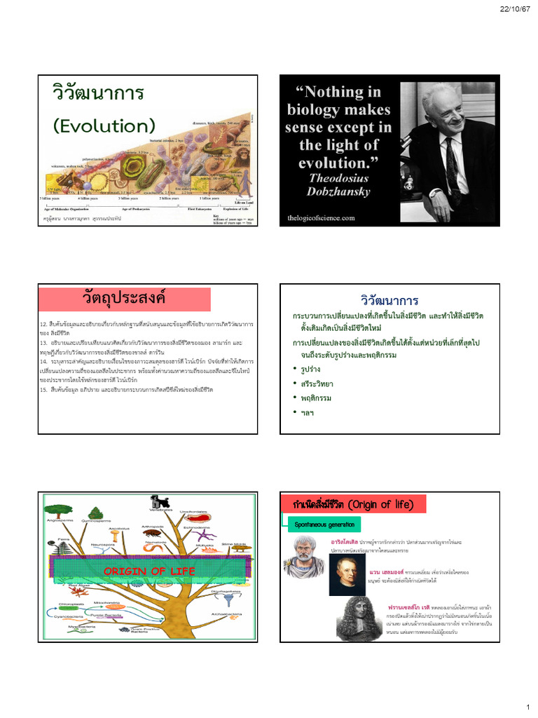 7 Evolution | PDF