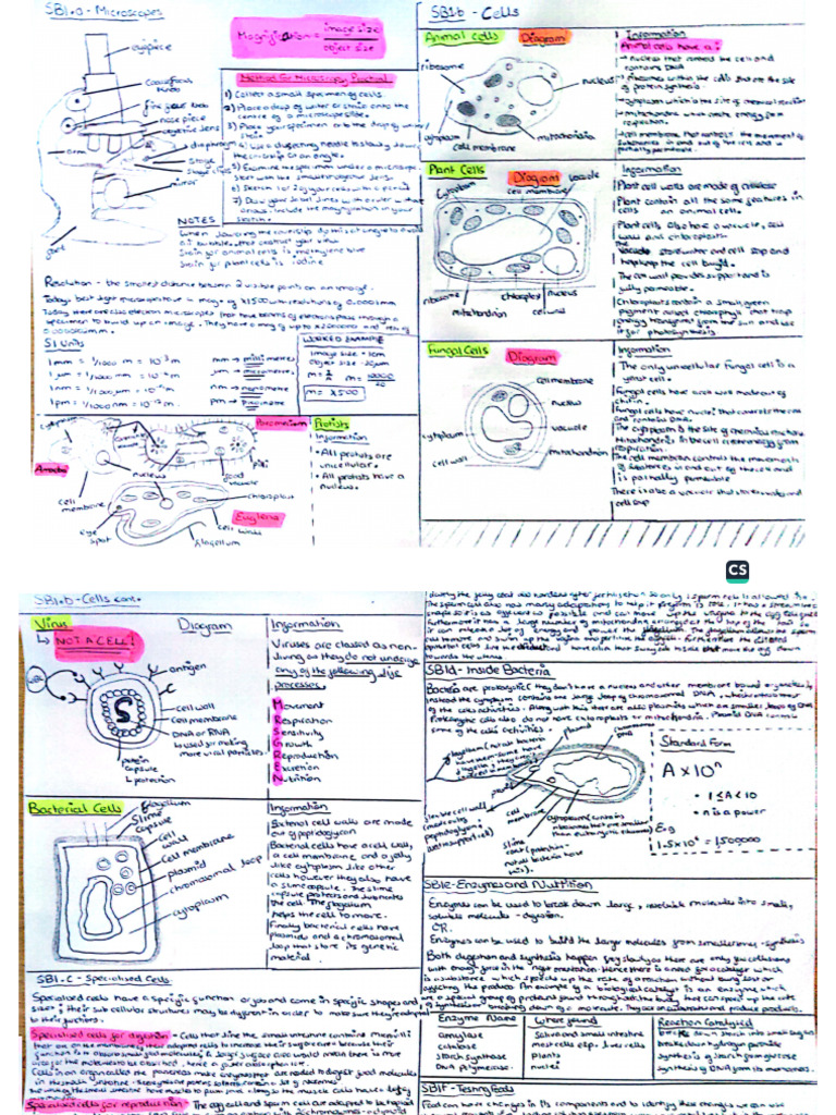 Summary Sheet SB1 | PDF
