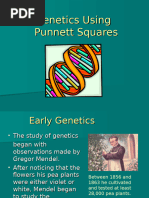Lab Report - Mouse Genetics (One Trait) | PDF | Genotype | Genetics
