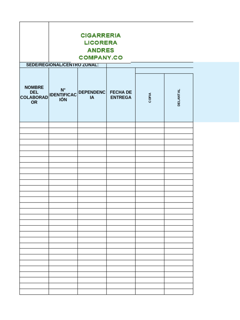 FORMATO DE REPOSICION | PDF
