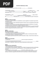 Kontrate Pune Individuale | PDF