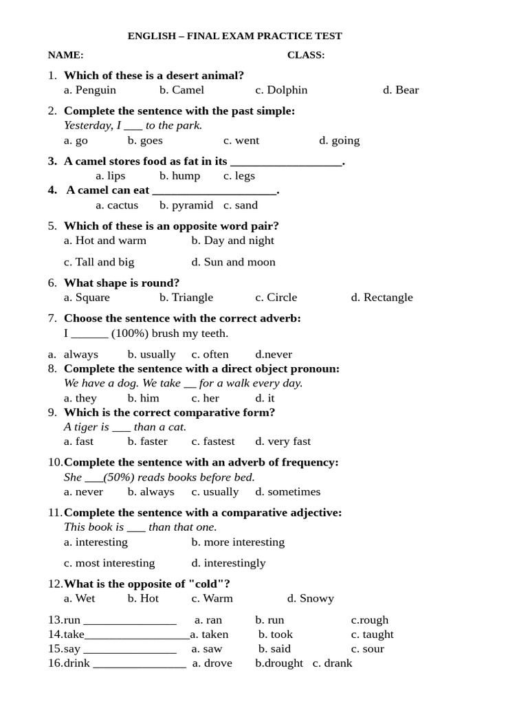English - Final Exam Practice Test | PDF | Linguistics