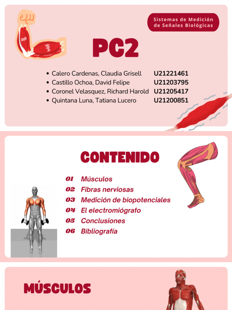 PC2 | PDF