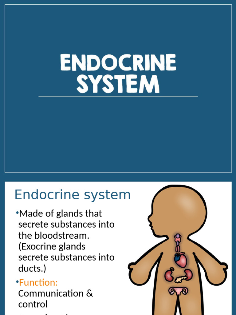EDITABLE Endocrine | PDF | Endocrine System | Hormone