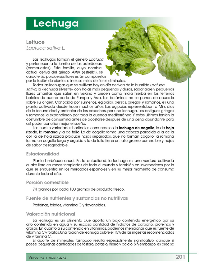 Lechuga | PDF | Lechuga