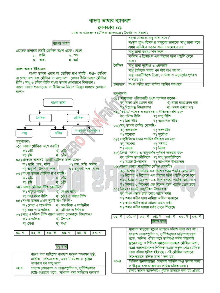 Bangla Lecture Content Overview | PDF