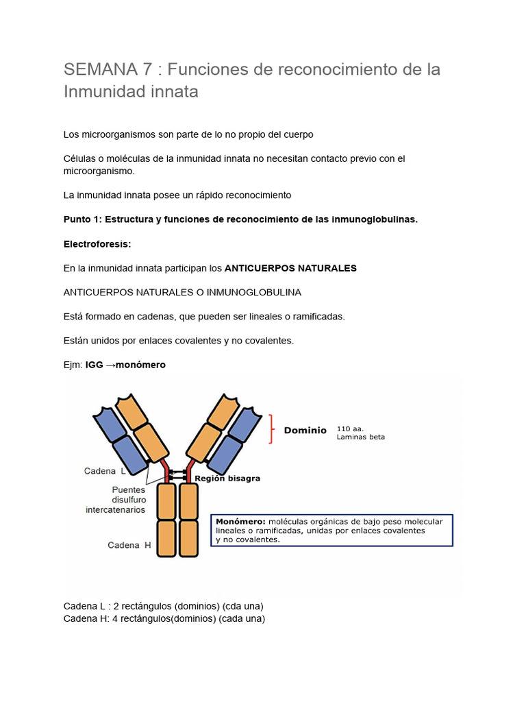 SEMANA 7 Y 9 de AGRE | PDF | Sistema inmune | Linfocitos