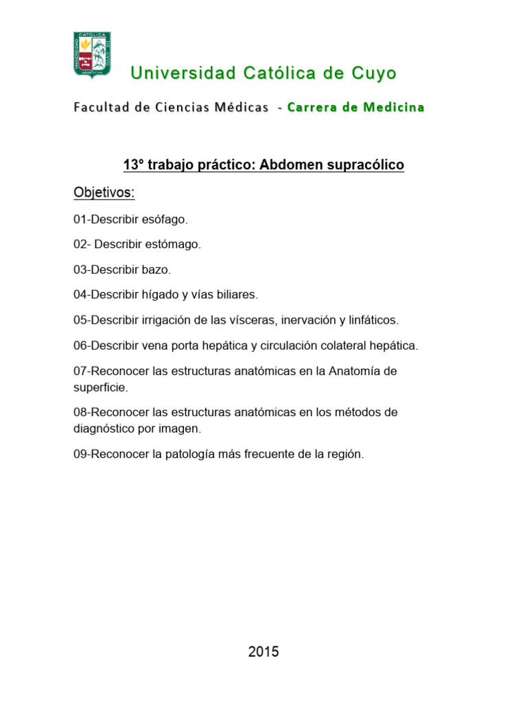 2015-Objetivos 13° TPE | PDF