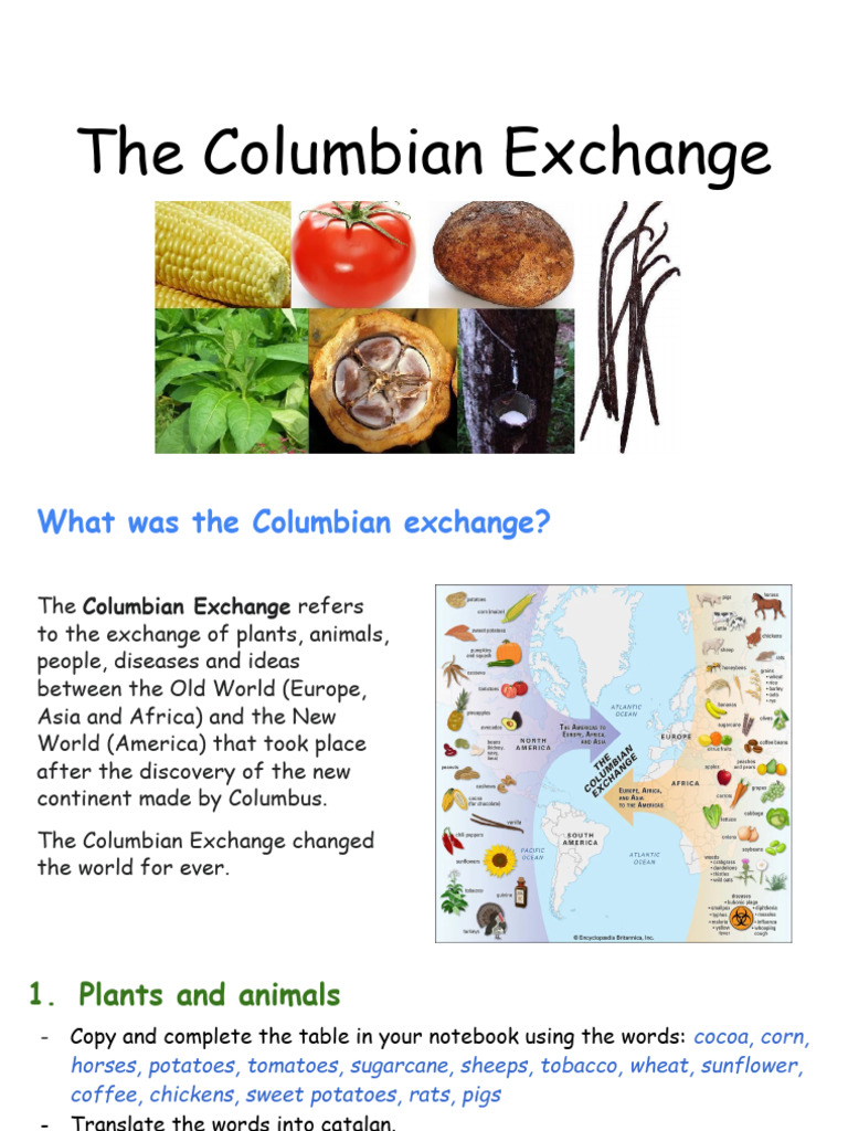 Understanding the Columbian Exchange | PDF | Agriculture | Food Industry