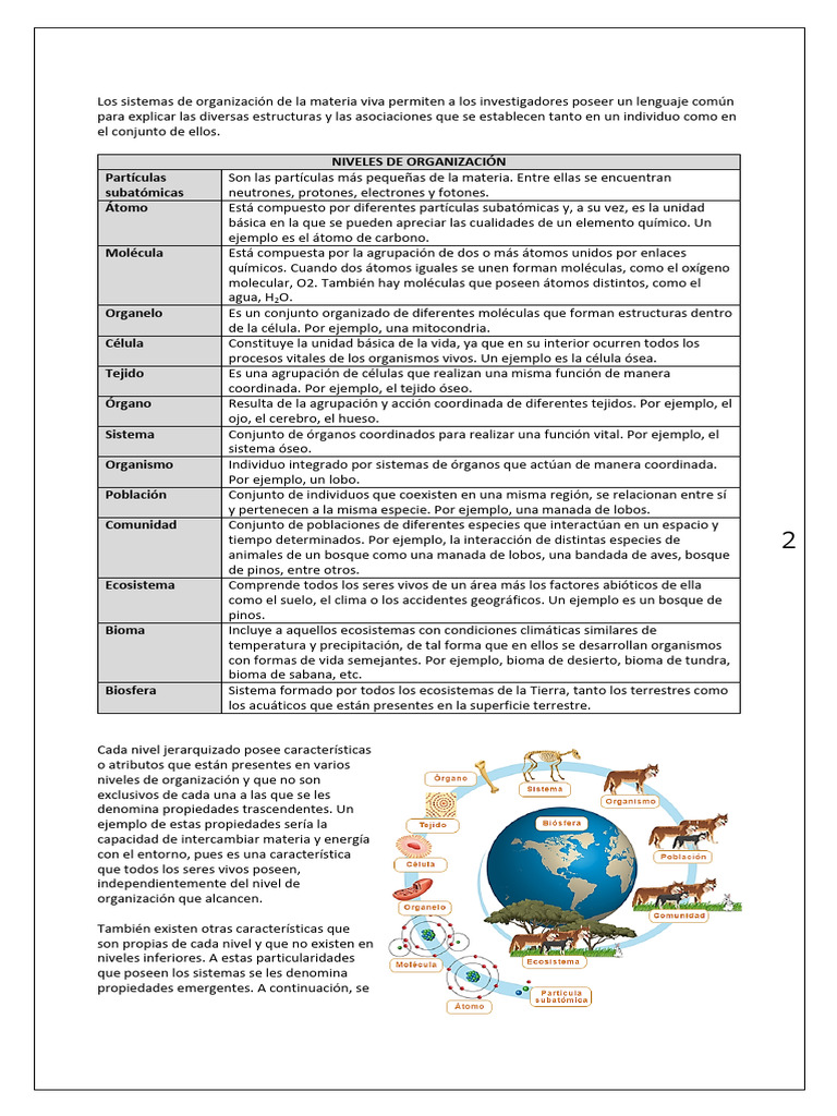 Niveles de Organizacion | PDF | Ecosistema | Organismos