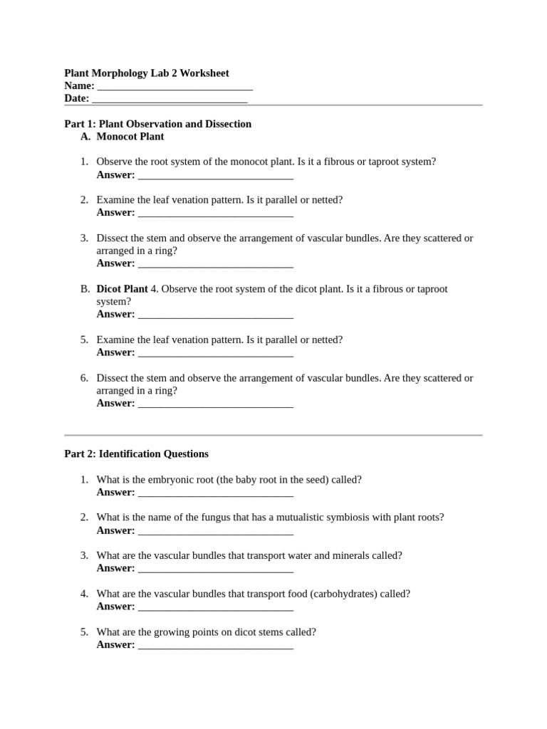 Plant Morphology Lab Worksheet Dunn | PDF