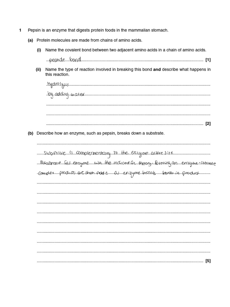 Pepsin Activity and pH Effects Study | PDF | Acid | Lung