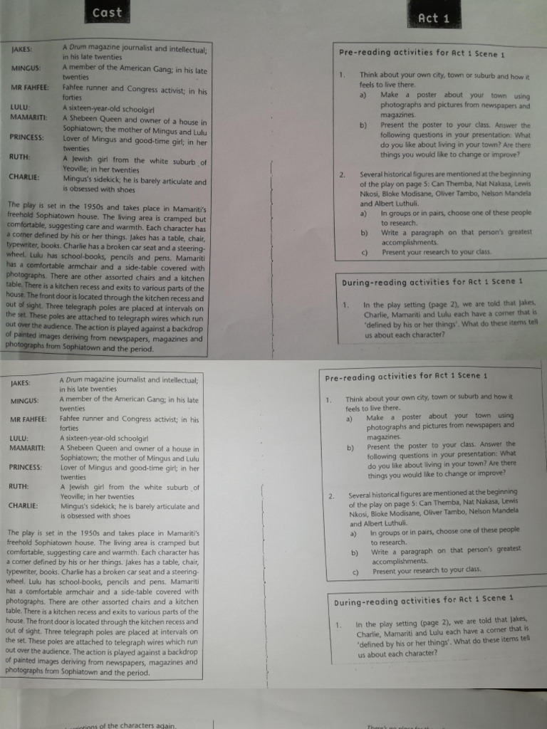 Grade 11 Sophiatown | PDF