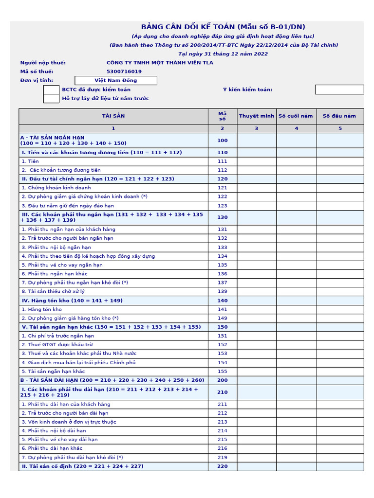 200 - BCTC - 2022 - Mẫu | PDF