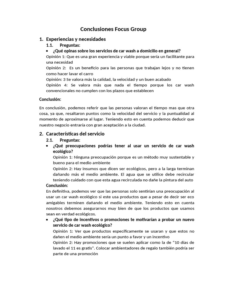 Conclusiones Focus Group 1 | PDF