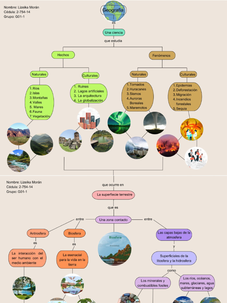 Mapa-Conceptual-#1 | PDF