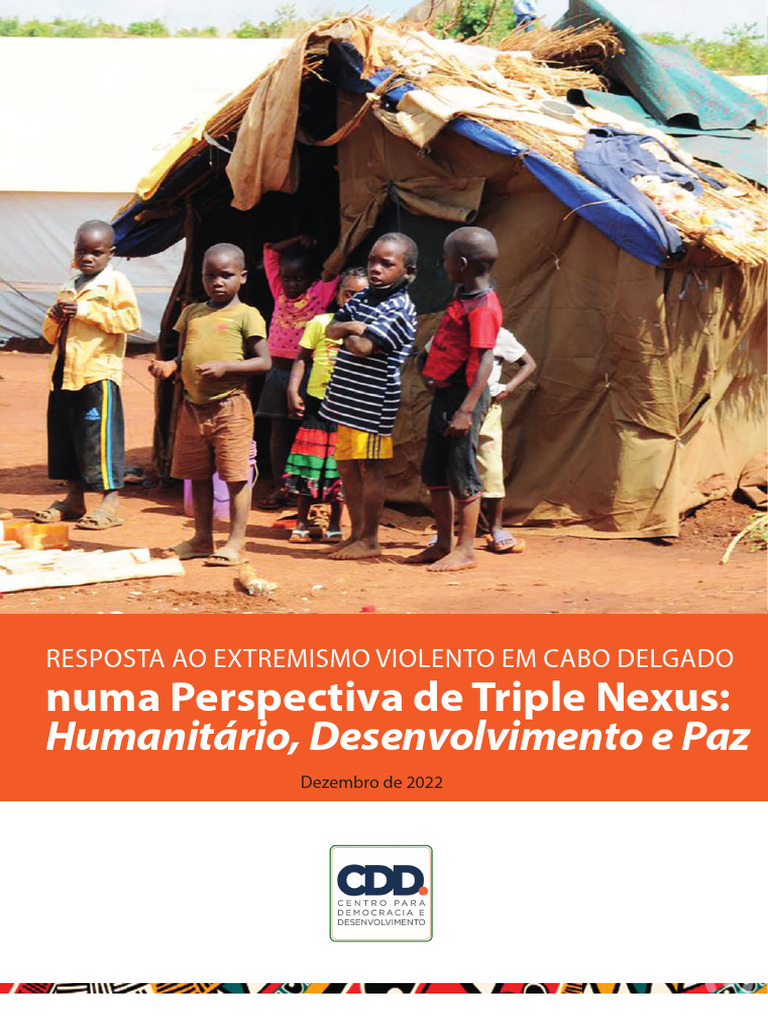 Resposta Ao Extremismo Violento em Cabo Delgado Numa Perspectiva de ...