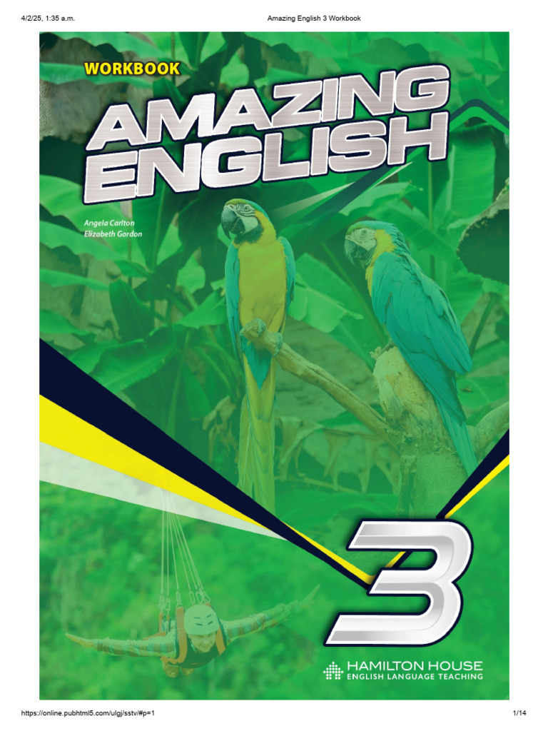 Amazing English 3 Workbook Overview | PDF
