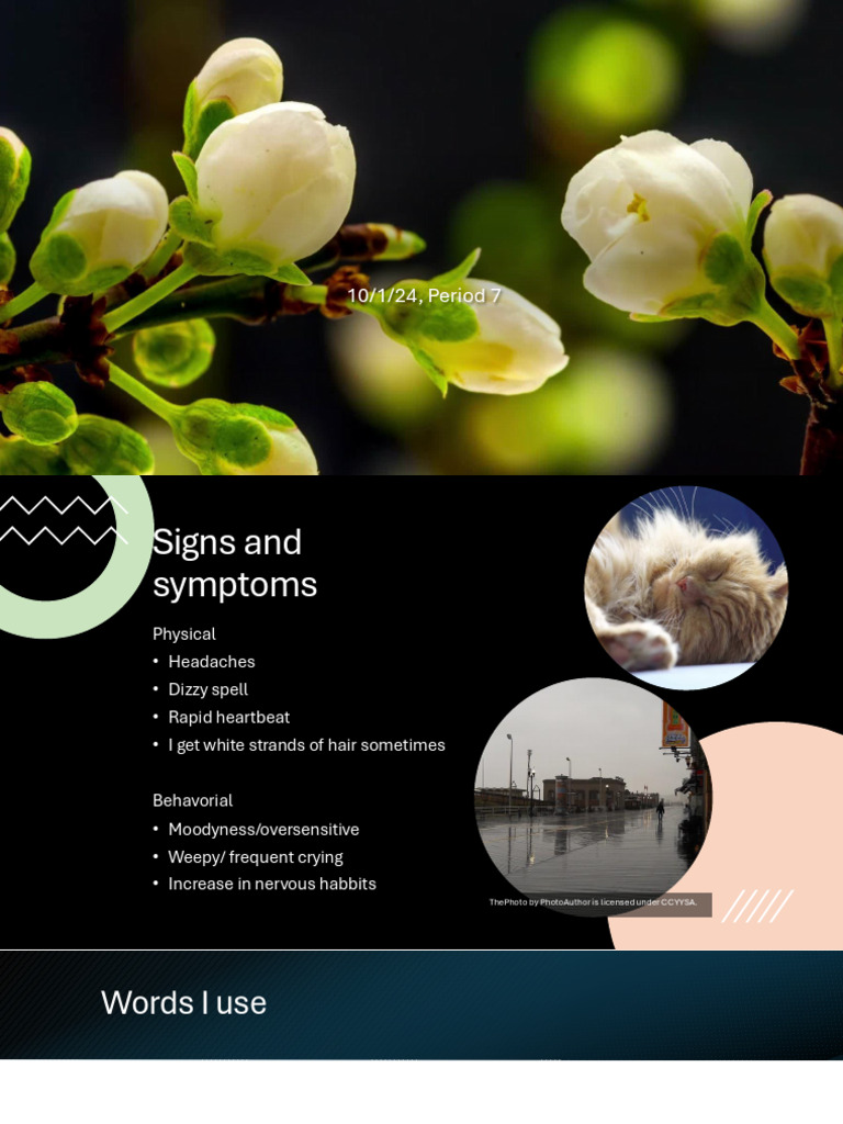 Feel good plan | PDF