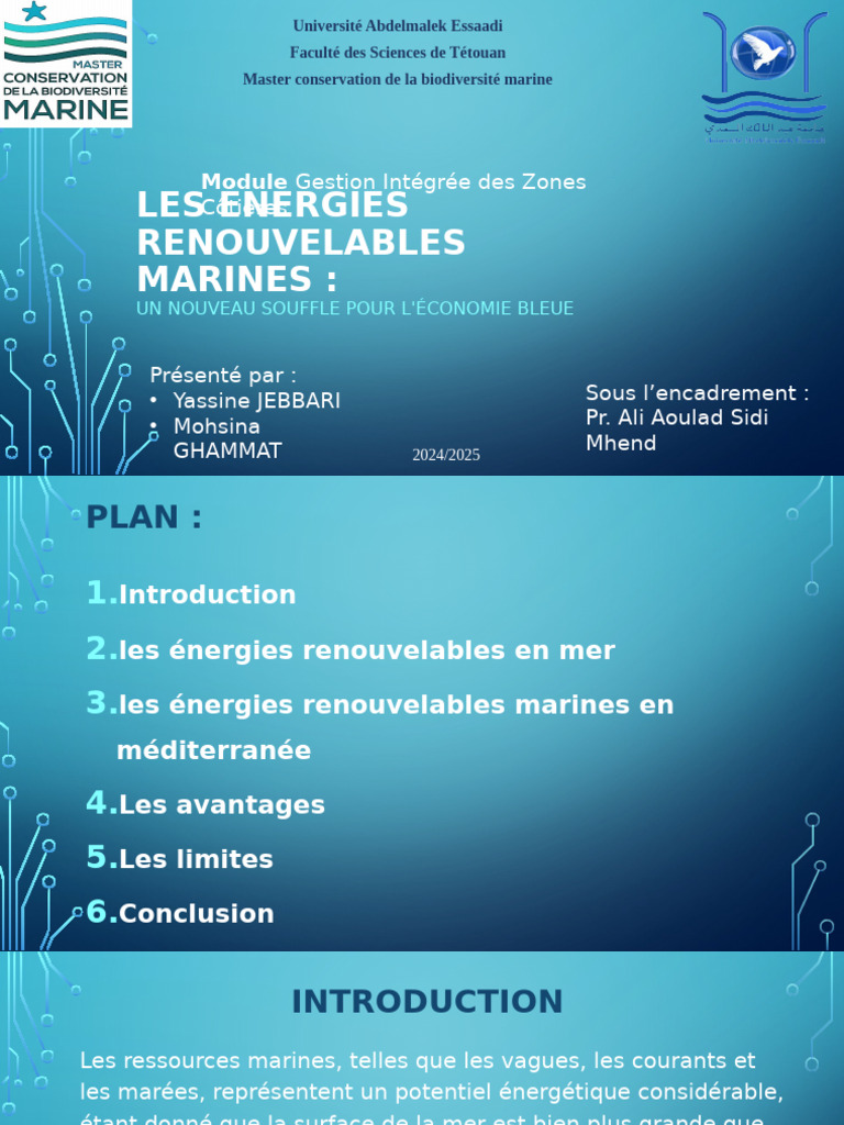 Les Énergies Renouvelables Marines Gizc 2 | PDF | Énergie renouvelable | Énergie éolienne