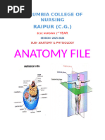 Anatomy and Physiology Binder Cover | PDF