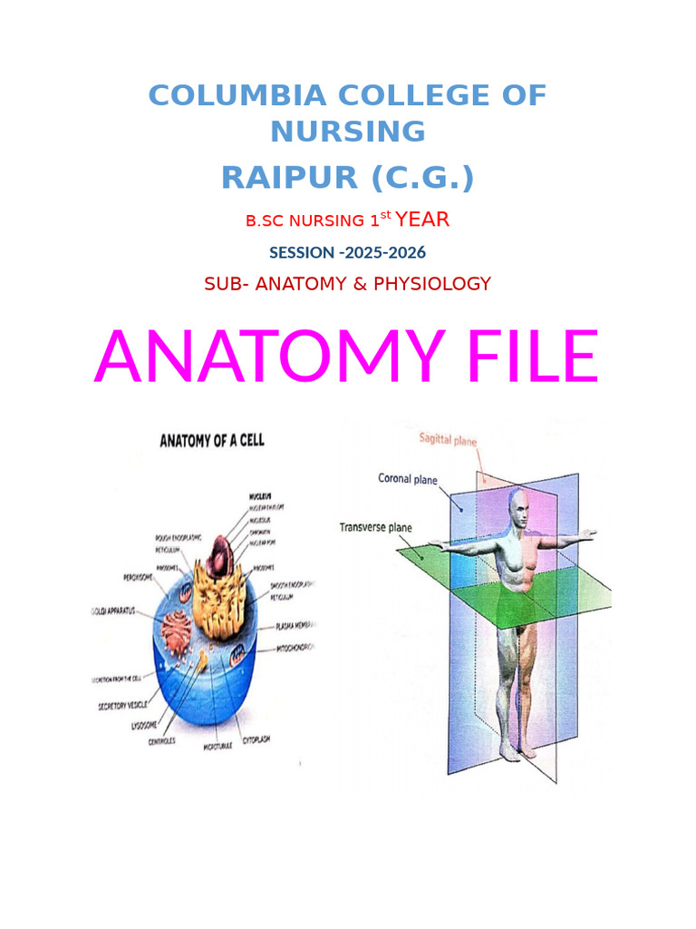 Anatomy Overview for B.Sc Nursing 1st Year | PDF